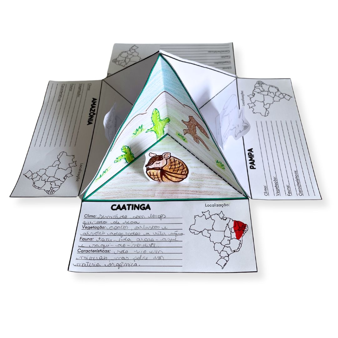 Biomas Brasileiros - Triorama - Clube das Profs